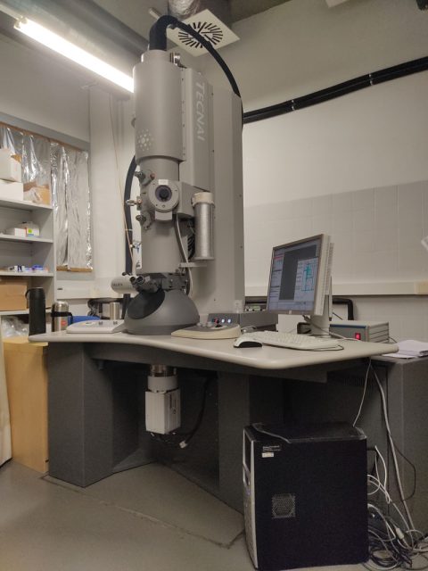 Microscopía TEM y STEM | LMA